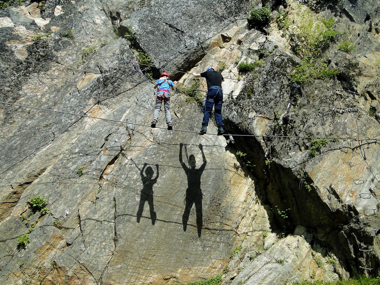 Rope Bridge Climbing Garden Climb - Free photo on Pixabay - Pixabay