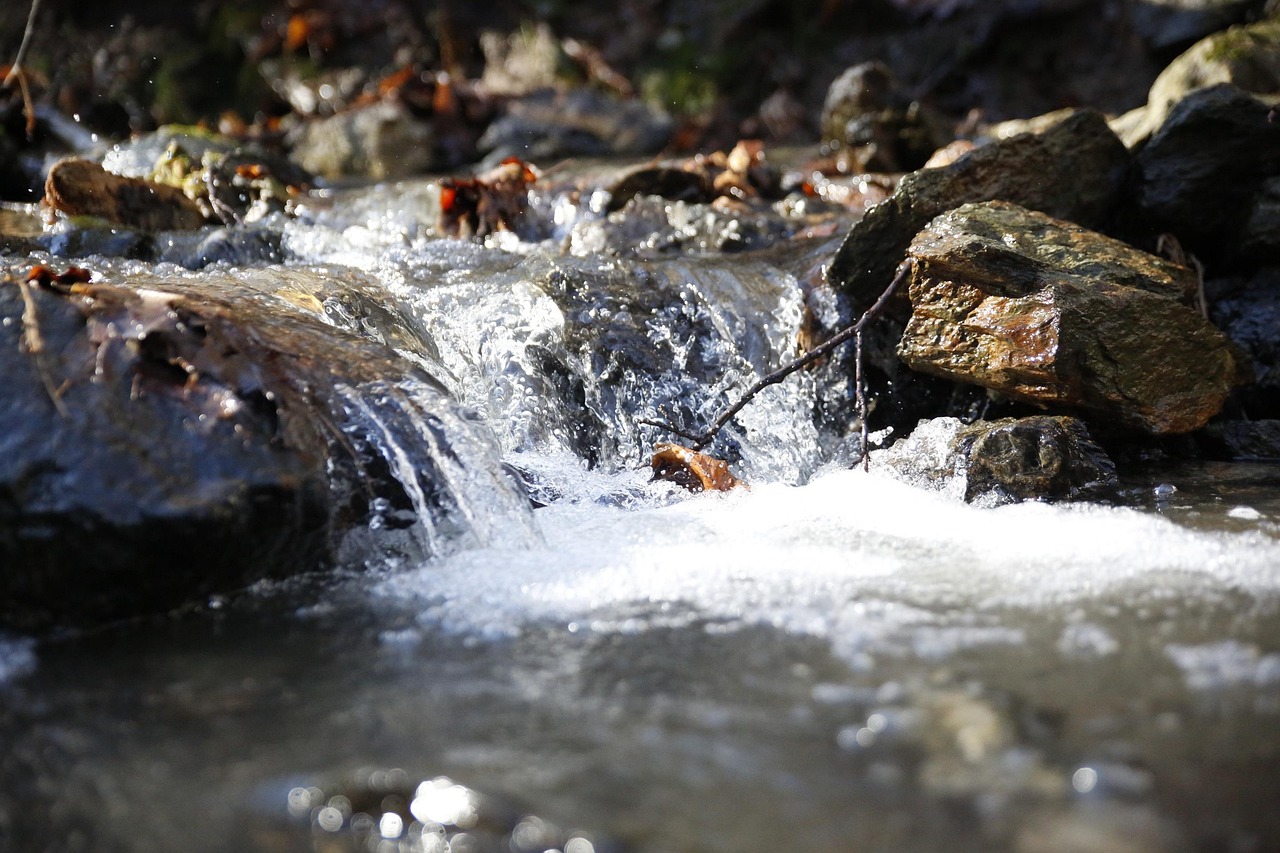 Nature River Stream - Free photo on Pixabay