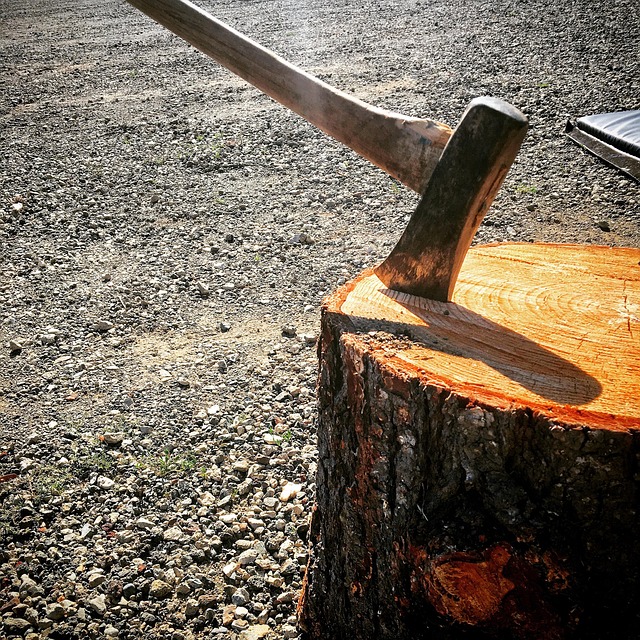Axe Wood Cutting Log - Free photo on Pixabay