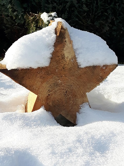 20+ Free Yule Log & Christmas Images - Pixabay