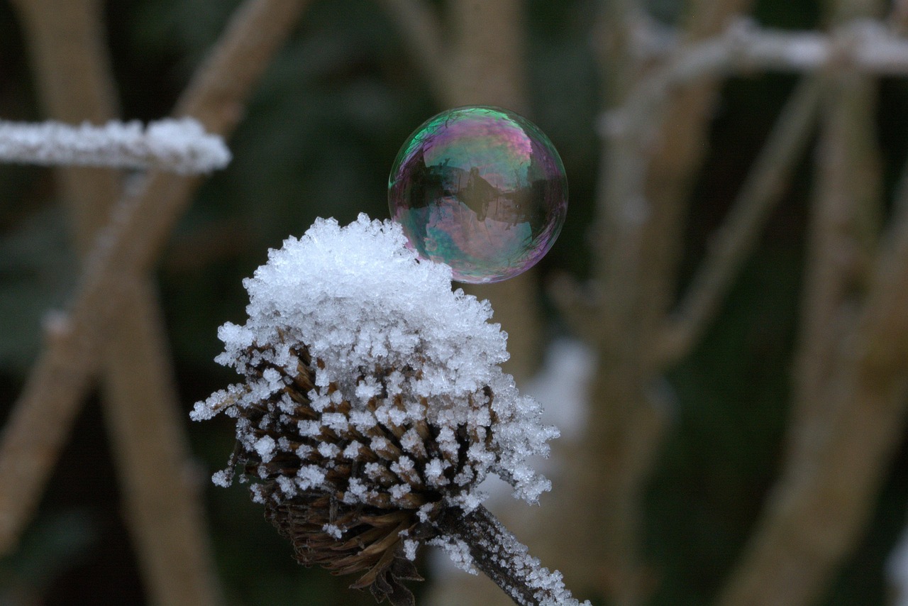 Soap Bubble Freeze Frozen - Free photo on Pixabay - Pixabay