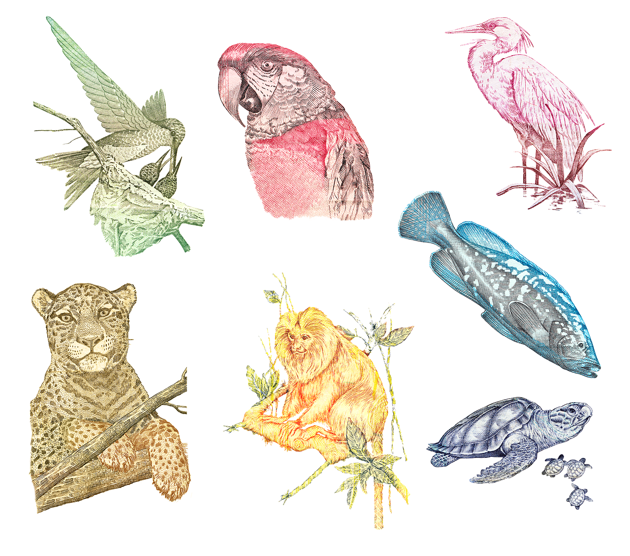 3+ Free Menjahit Animasi & Scavenger Hunt Images - Pixabay