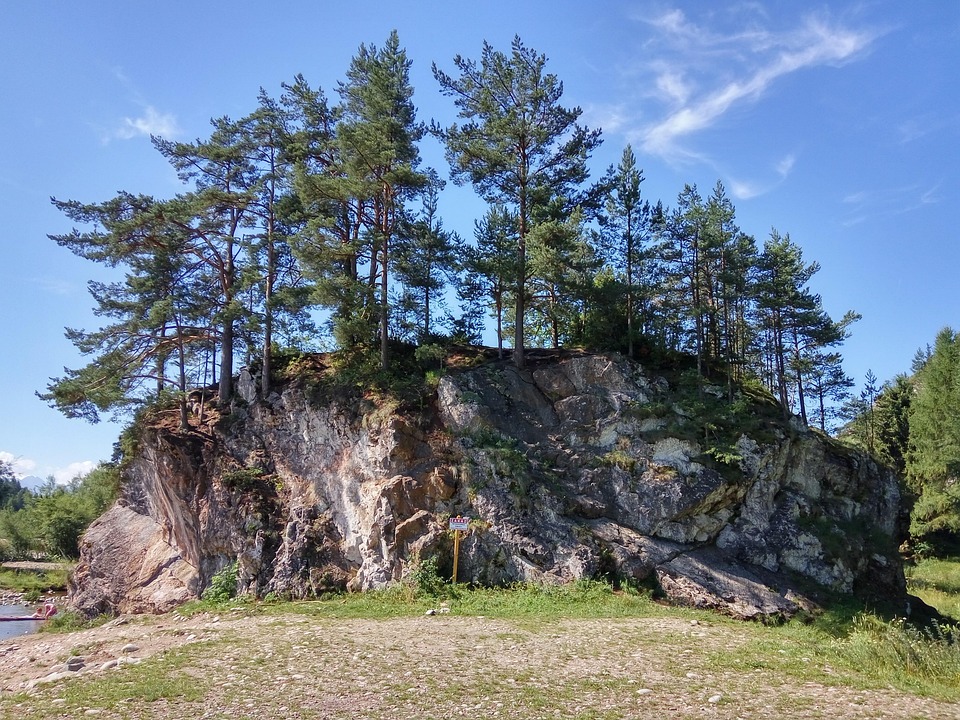 Rock Árbol Naturaleza - Foto gratis en Pixabay - Pixabay