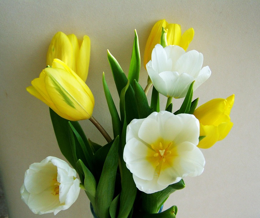 Tulip Bouquet De Fleurs Fleur - Photo gratuite sur Pixabay