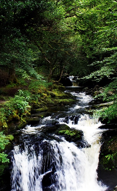 Kerry Waterfall Water - Free photo on Pixabay - Pixabay