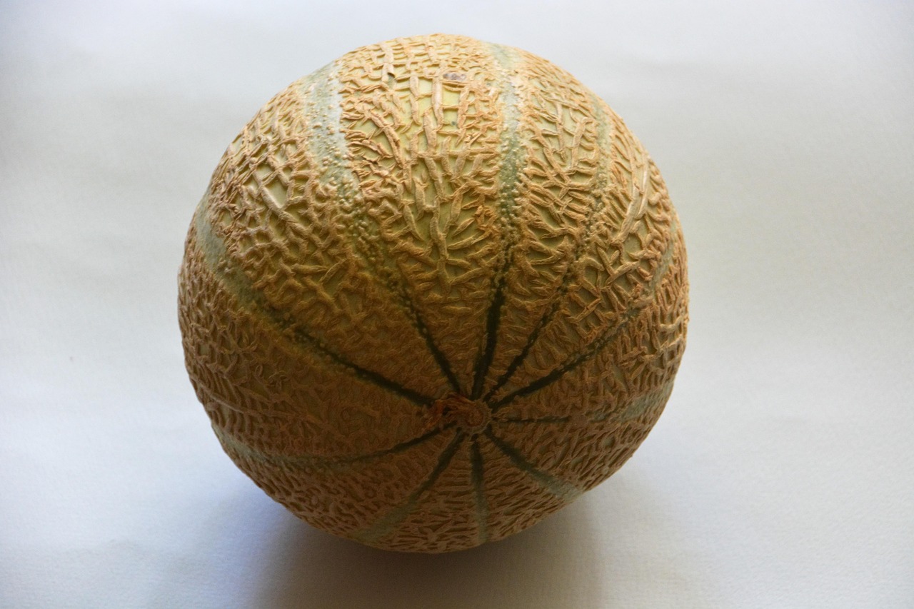Melon Fruit Dessert - Photo gratuite sur Pixabay - Pixabay