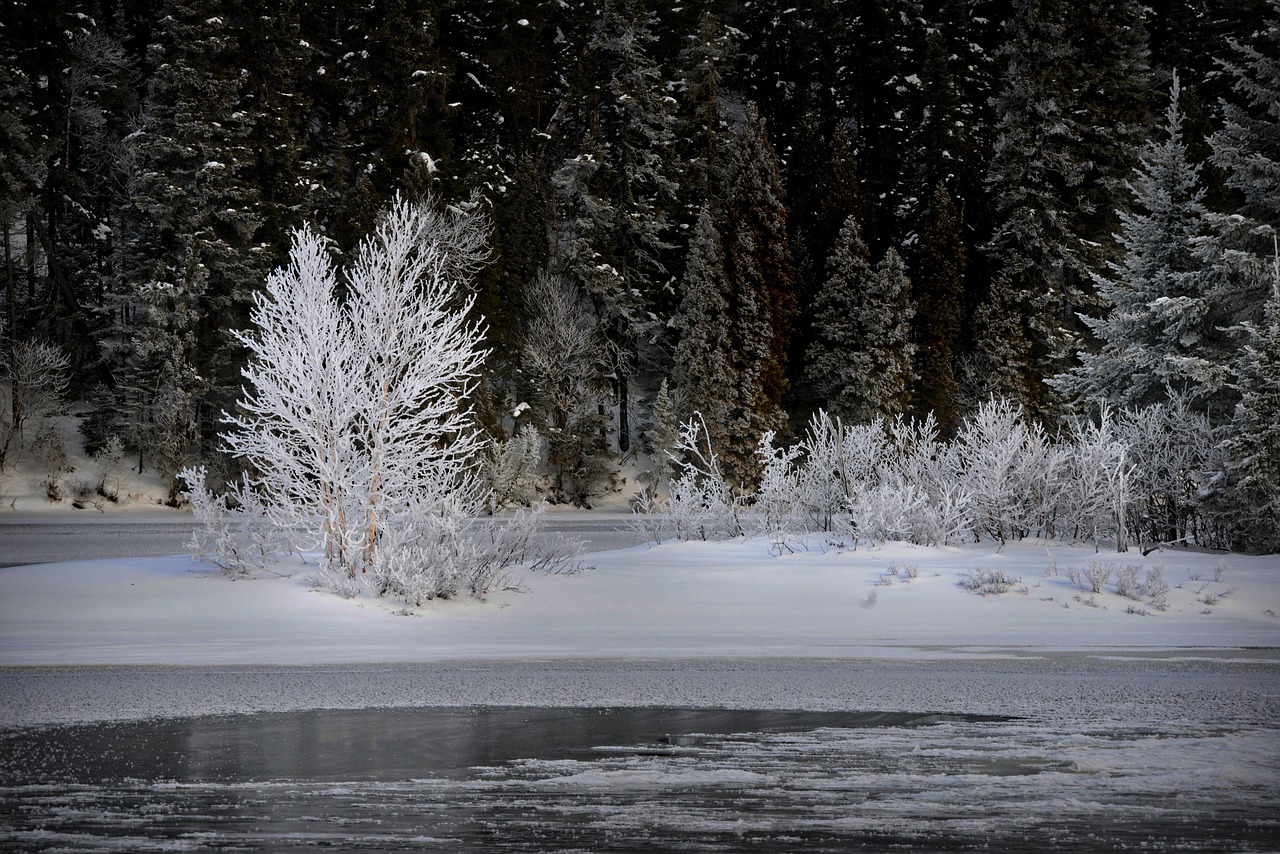 Winter Landscape Cold Snow - Free photo on Pixabay - Pixabay