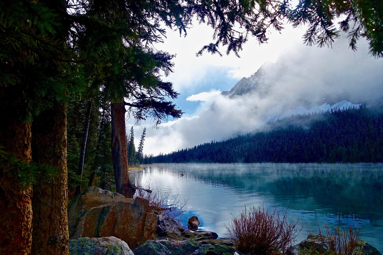 Lake Wilderness Environment - Free photo on Pixabay