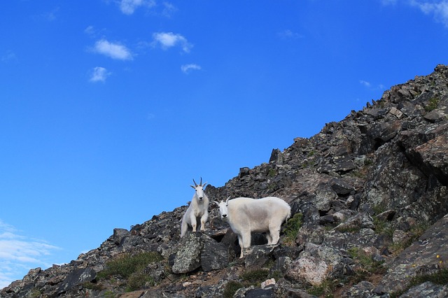 100+ Free Blue Ridge Mountains & Nature Images - Pixabay