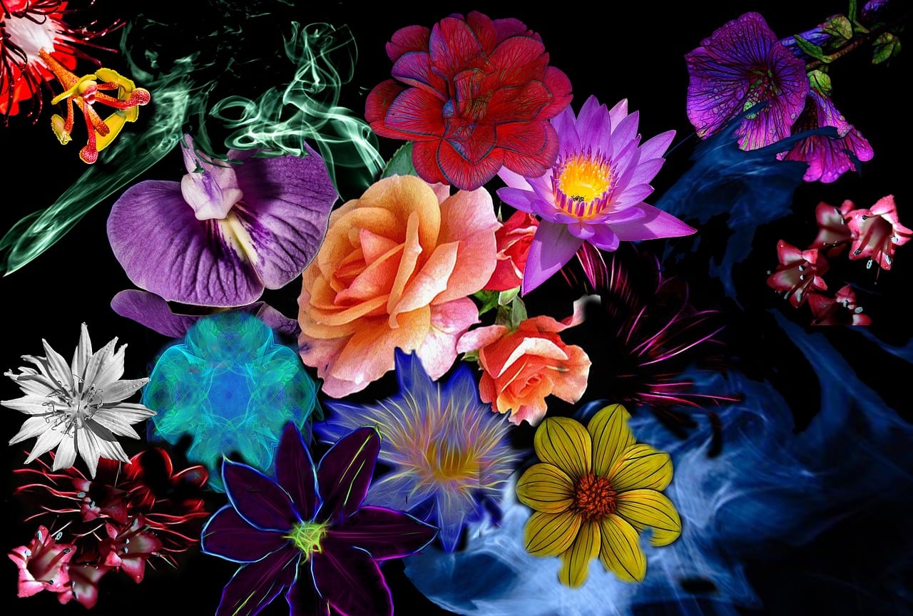Fleurs Mixte - Image gratuite sur Pixabay - Pixabay
