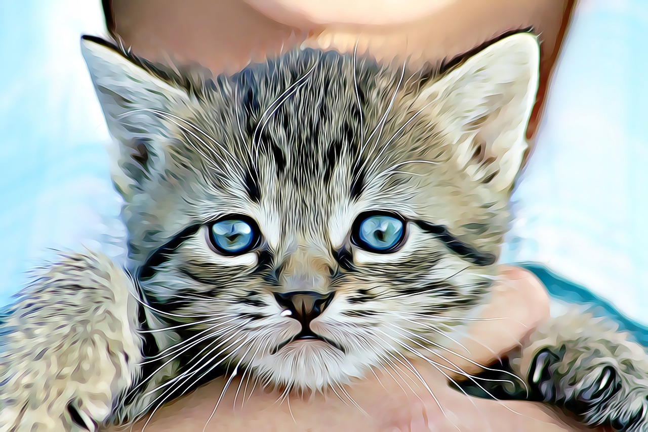 Animal Cat Kitten - Free photo on Pixabay