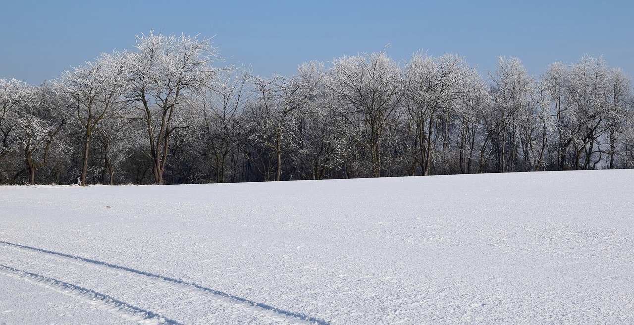 Paysage D'Hiver Glacé Ambiance - Photo gratuite sur Pixabay - Pixabay