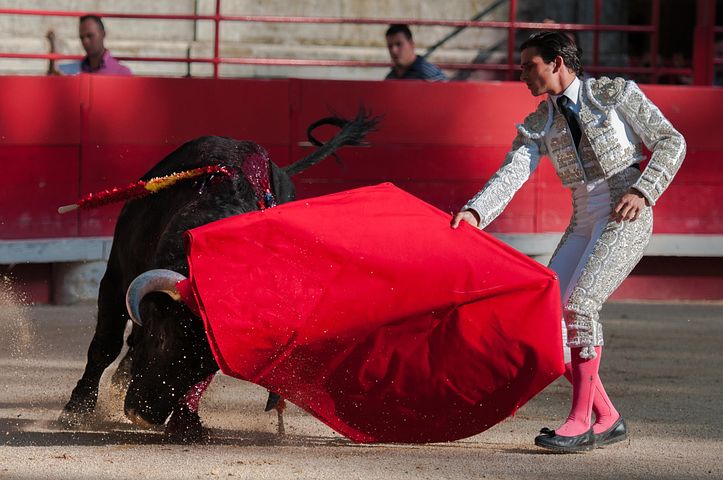 Plus de 70 images de Corrida et de Taureau - Pixabay