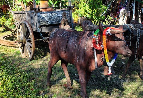 20+ Free Ox Cart & Cart Images - Pixabay