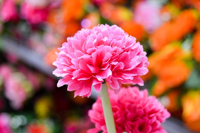 Pink Flower Artificial - Free photo on Pixabay - Pixabay