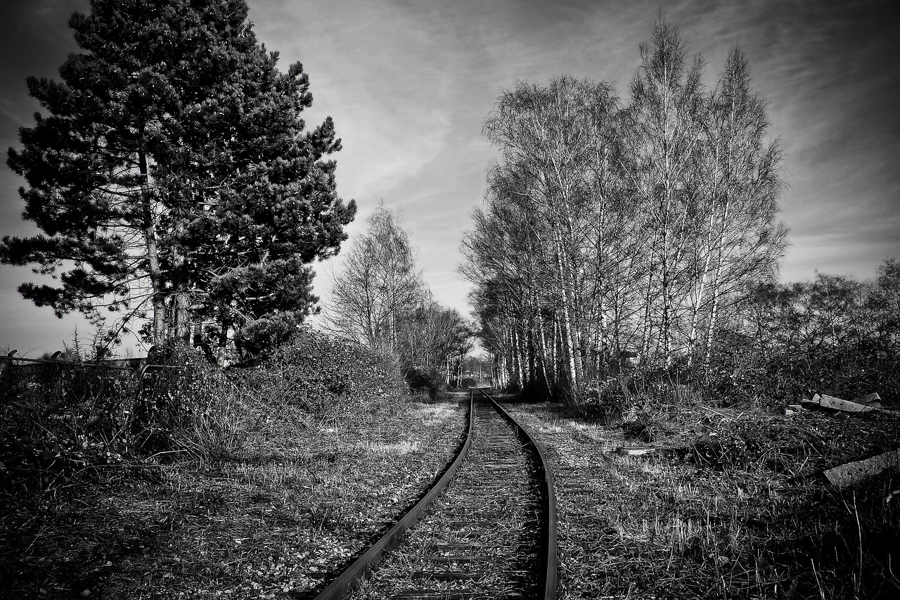 Lost Places Tracks Railway - Free photo on Pixabay - Pixabay