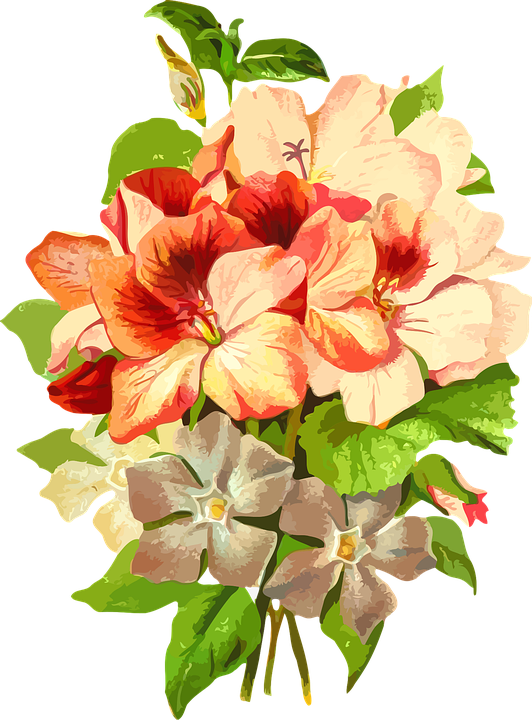 Flore Floral Fleur - Images vectorielles gratuites sur Pixabay
