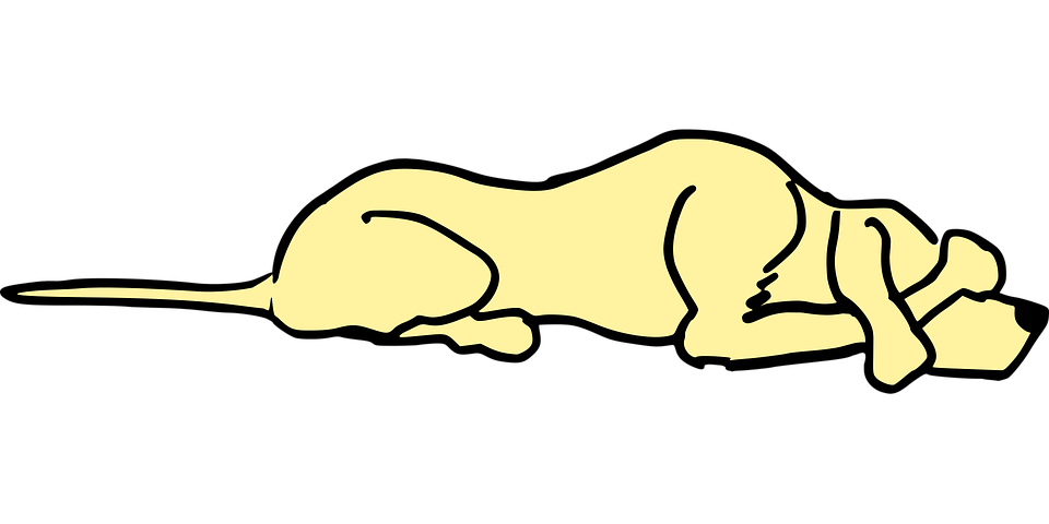 Download Agitated, Cartoon, Animal. Royalty-Free Vector Graphic - Pixabay