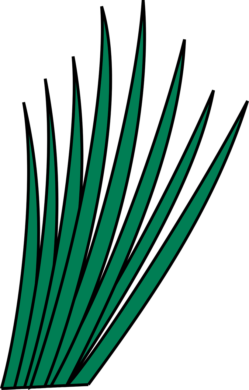 Download Grass, Leaf, Leafy. Royalty-Free Vector Graphic - Pixabay