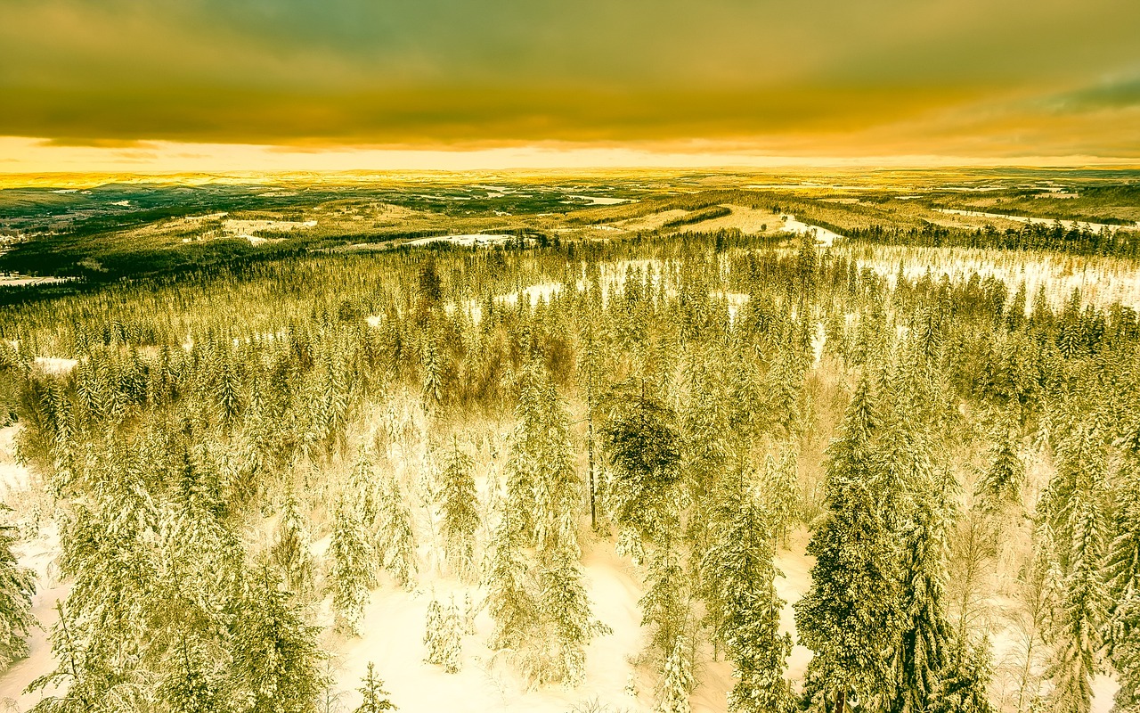 Sweden Sunset Sunrise - Free photo on Pixabay