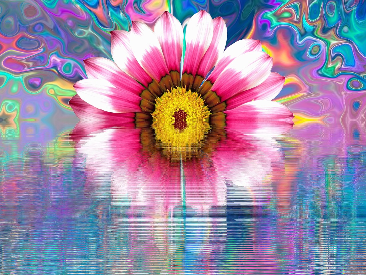 Download Blossom, Bloom, Flower. Royalty-Free Stock Illustration Image ...