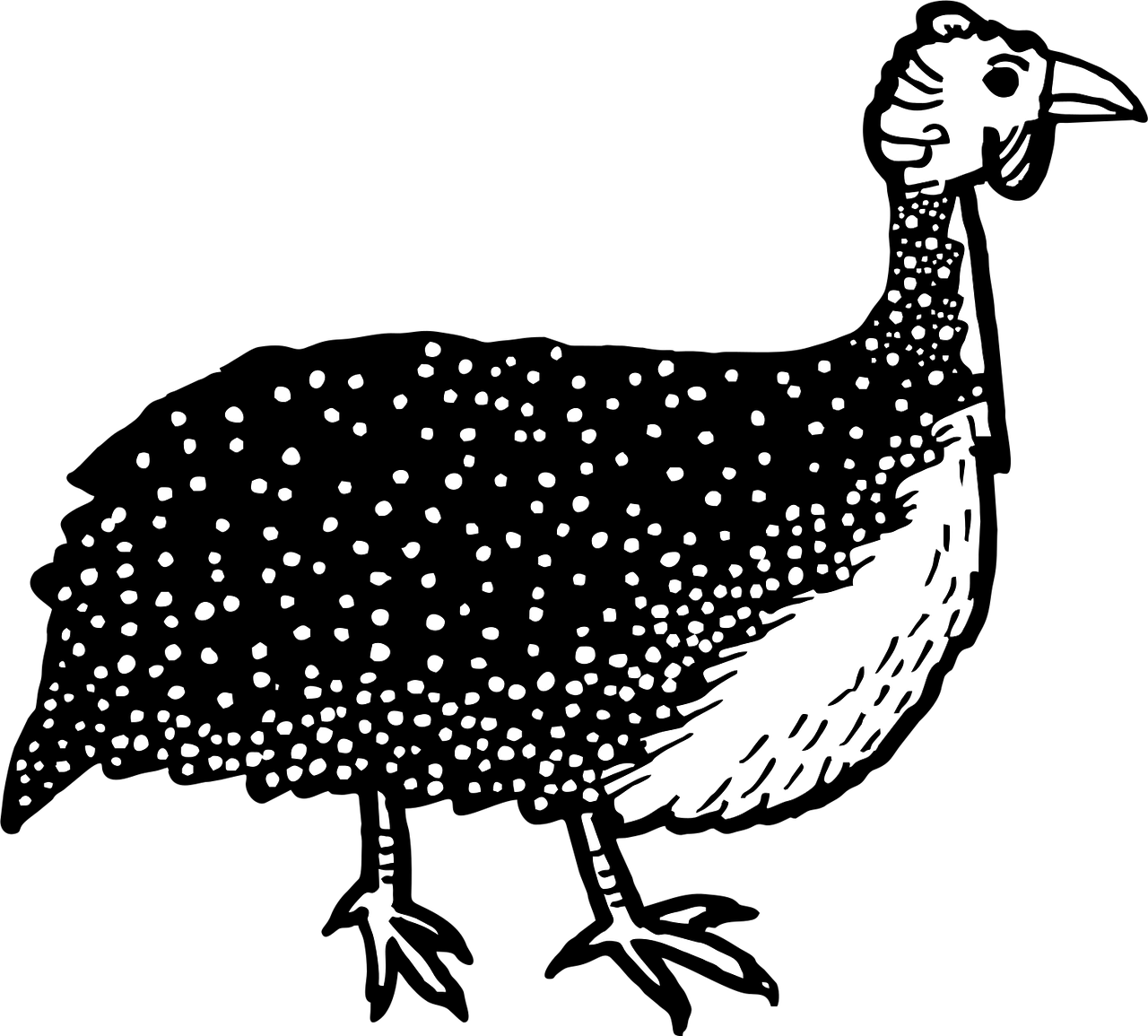 Free Red Jungle Fowl Vector Art - Download 6,119+ Red Jungle Fowl Icons ...