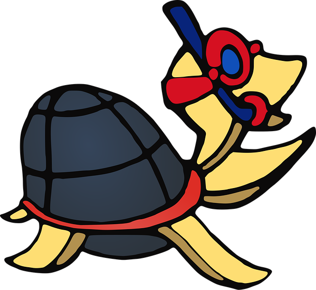 20,000+ Free Cartoon Tortoise & Turtle Images - Pixabay