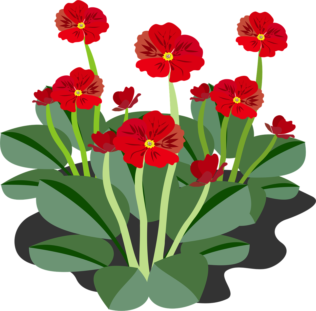 Clipart Flor Flore Images Vectorielles Gratuites Sur Pixabay Clipart Flor Flore Images Vectorielles Gratuites Sur Pixabay