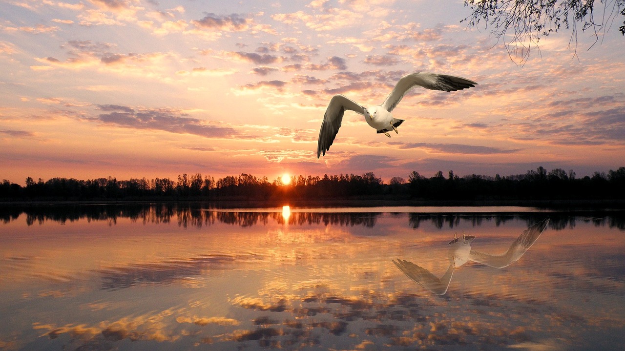 Download Animal, Nature, Evening. Royalty-Free Stock Illustration Image ...