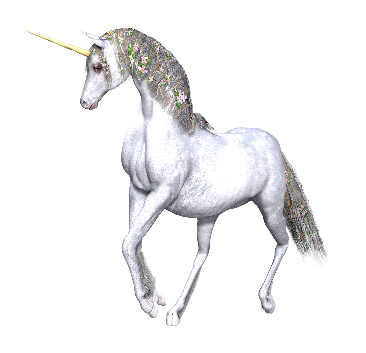 100,000+ Free Unicorn Design & Unicorn Images - Pixabay
