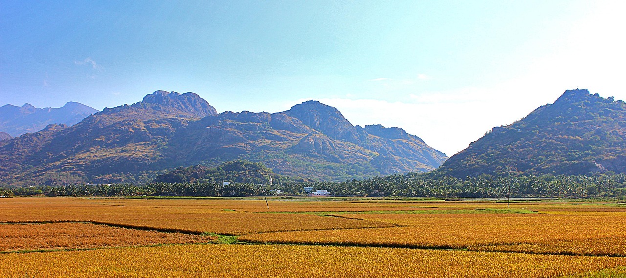 60+ Free Tamilnadu & India Images - Pixabay