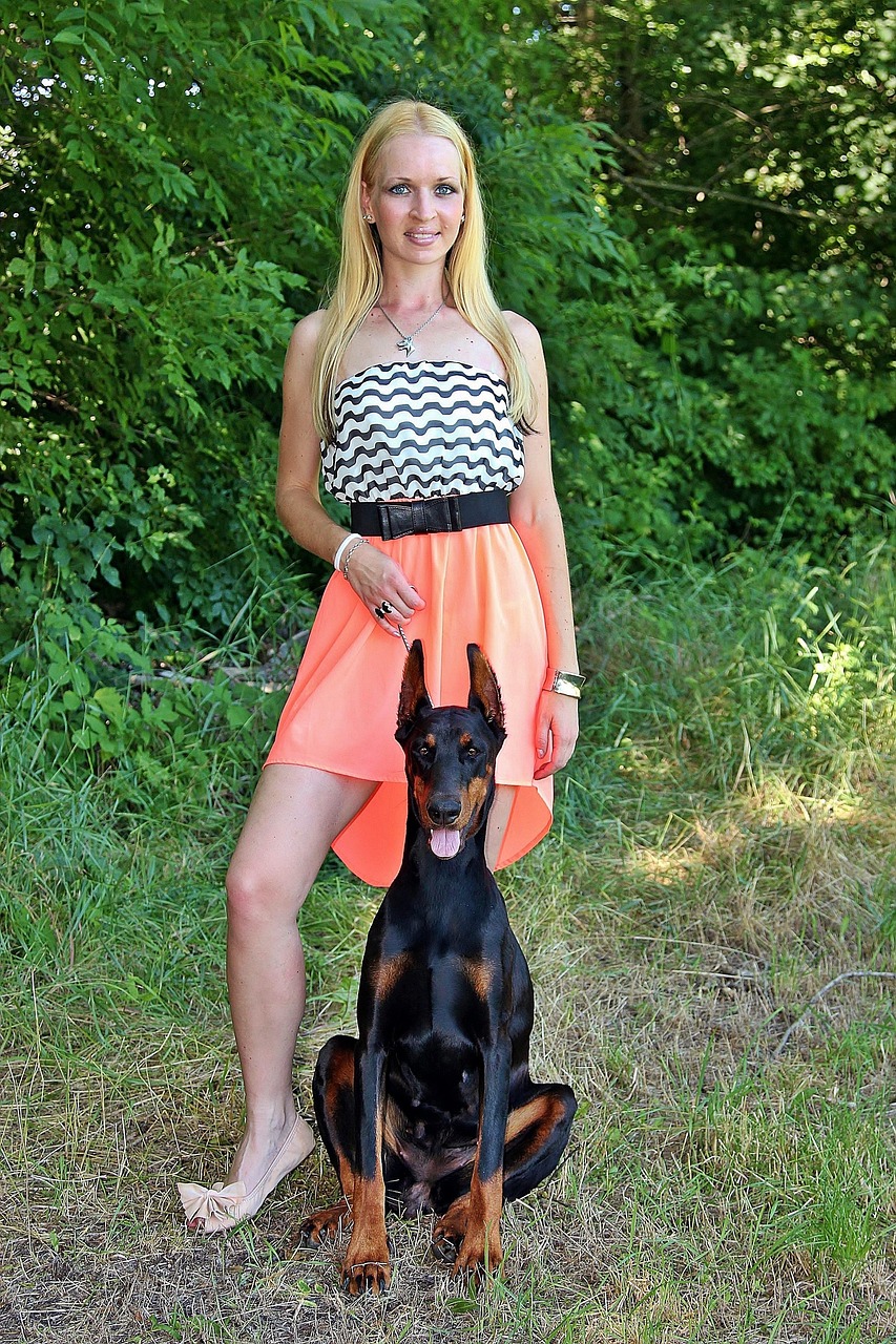 Más de 200 000 imágenes gratis de Perro Con Una Mujer y Perro - Pixabay