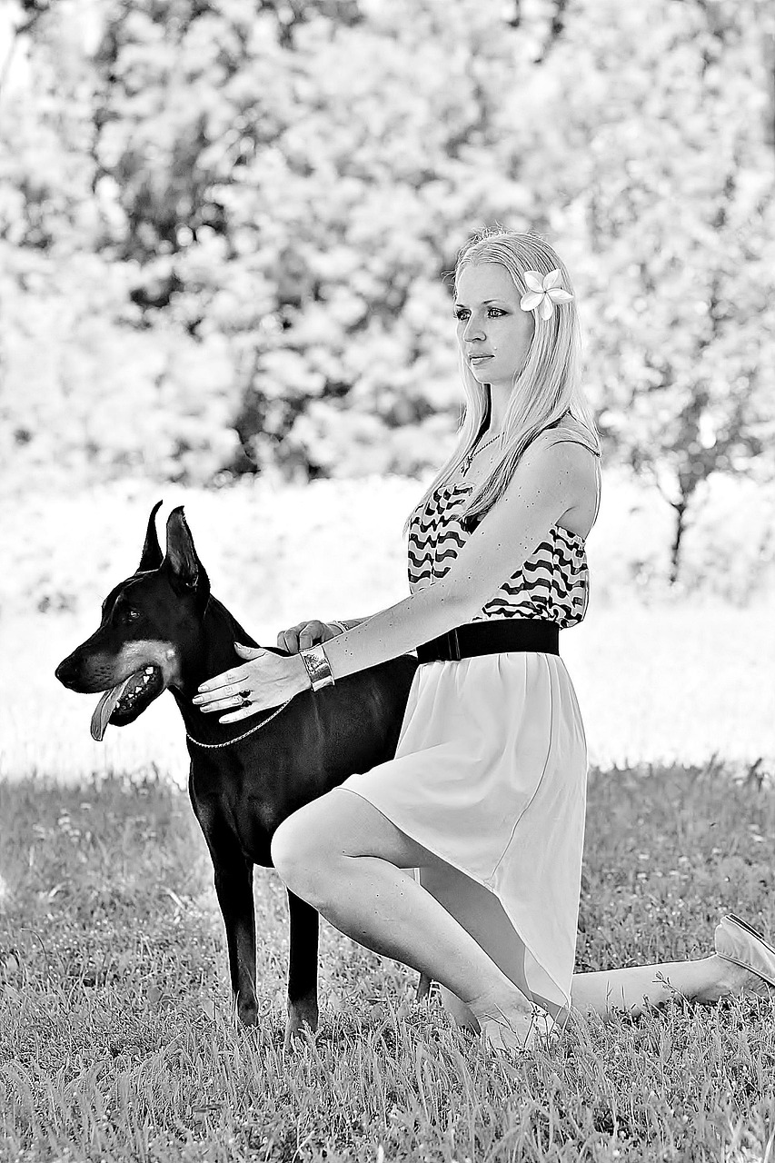 Más de 80 imágenes gratis de Perro Con Mujer y Mujer - Pixabay