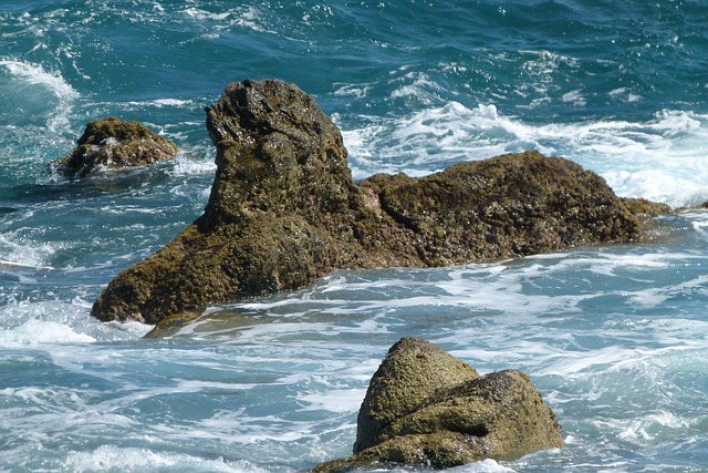 Acantilados Mar Madeira - Foto gratis en Pixabay - Pixabay