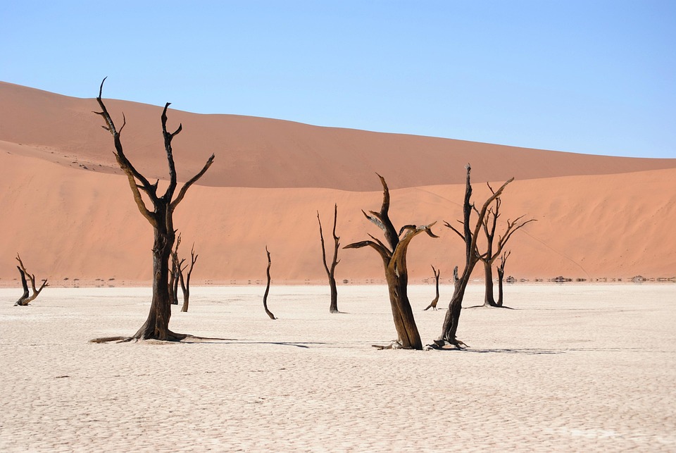 Dead Vlei Namibia Desert Sand - Free photo on Pixabay - Pixabay