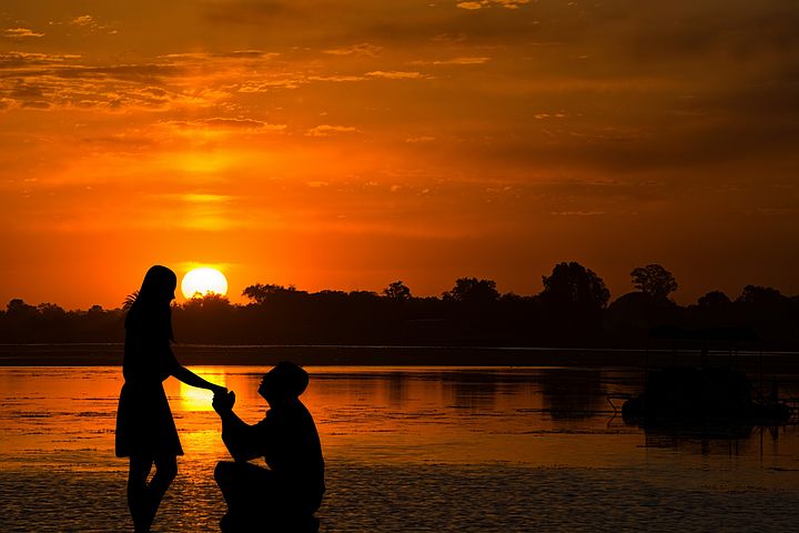 100+ Free Wedding Proposal & Proposal Images - Pixabay