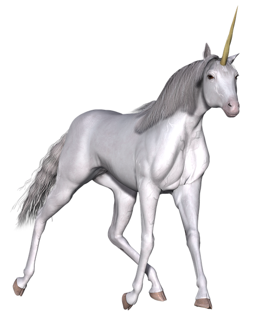 Unleash Your Imagination with 800+ HD Unicorn Photos and Images - Pixabay