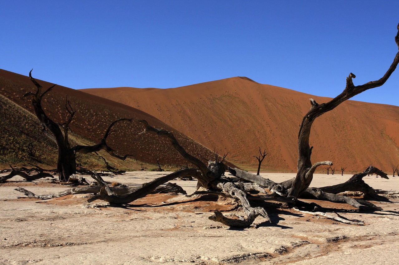 Namibia Sossusvlei Dunas - Foto gratis en Pixabay - Pixabay