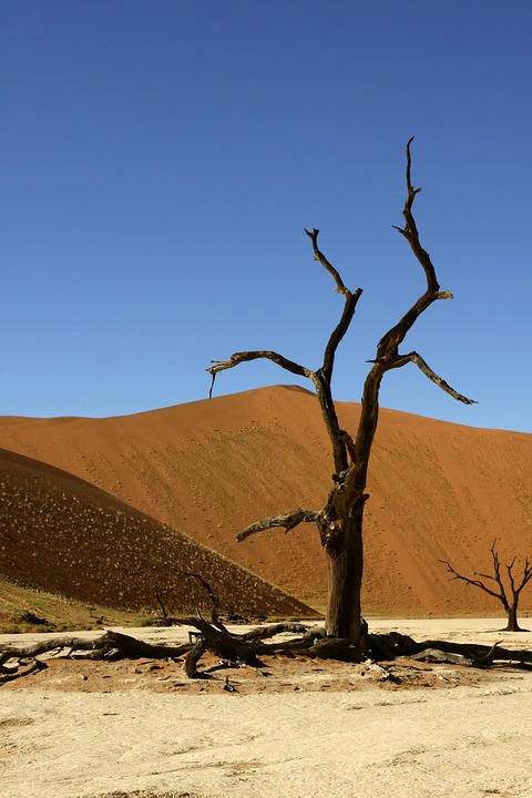 Namibia Sossusvlei Dunas - Foto gratis en Pixabay - Pixabay