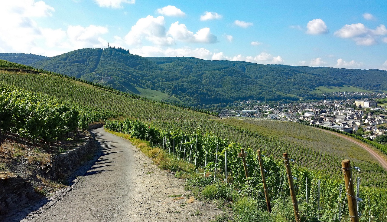Bernkastel Cues Moselle - Free photo on Pixabay