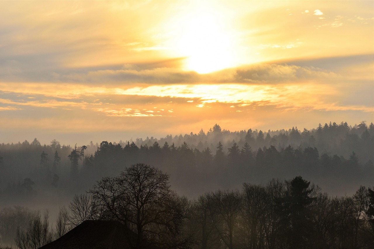 Landscape Dawn Fall - Free photo on Pixabay