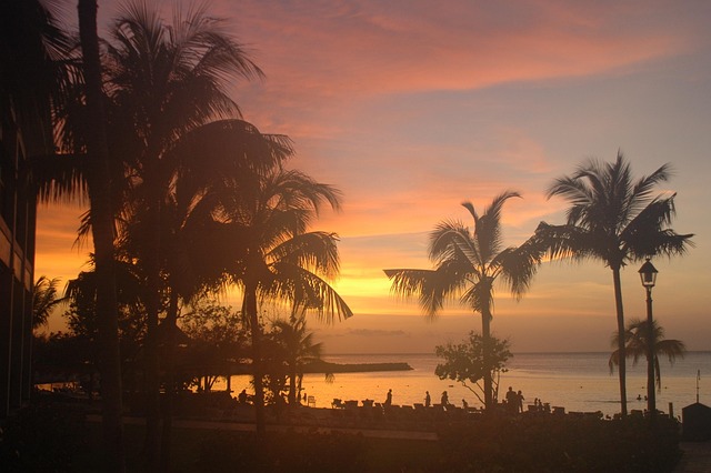 Dawn In Jamaika Beach Palms - Free photo on Pixabay