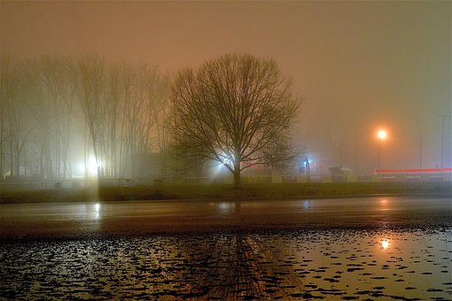 50+ Free Foggy Night & Foggy Images - Pixabay