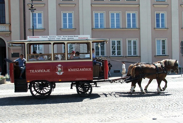 Horses Tram Pavement - Free photo on Pixabay - Pixabay