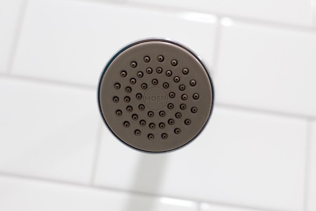 Shower Bath - Free photo on Pixabay - Pixabay