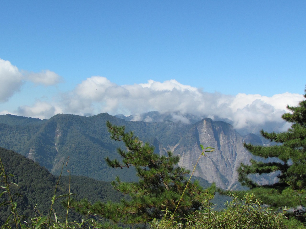Plus de 8 photos gratuites de Alishan Nationalpark et de Taïwan - Pixabay