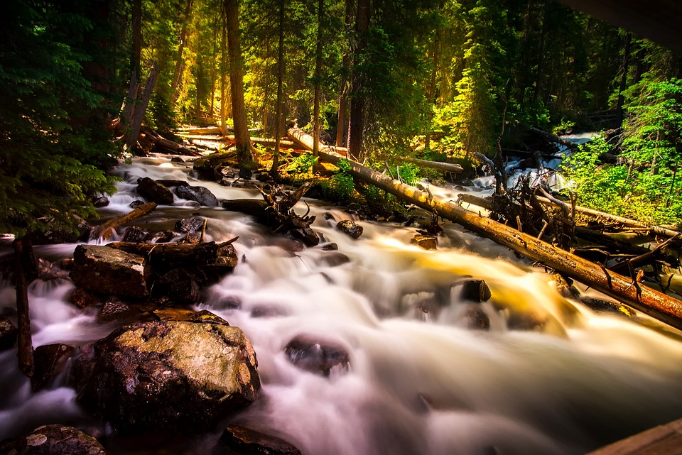 Colorado Stream Creek - Free photo on Pixabay - Pixabay