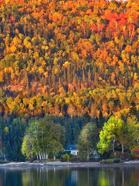 Más de 60 000 imágenes gratis de Paisaje Color Calido y Naturaleza ...