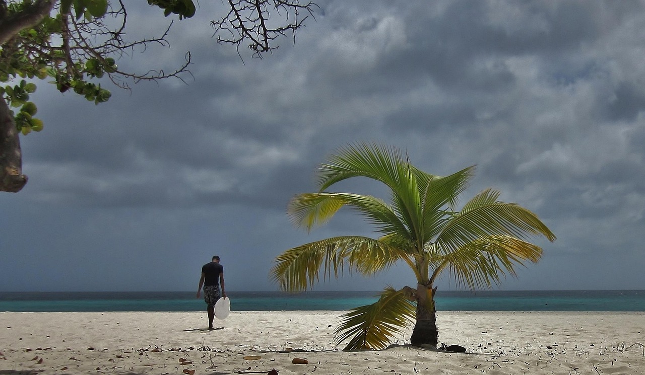 100,000+ Free Eagle Beach Aruba & Eagle Images - Pixabay