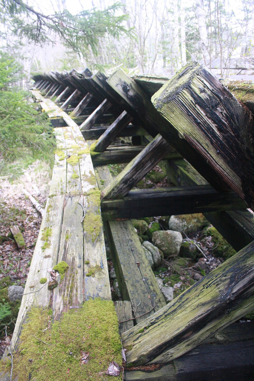 Vintage Logging Old - Free photo on Pixabay - Pixabay